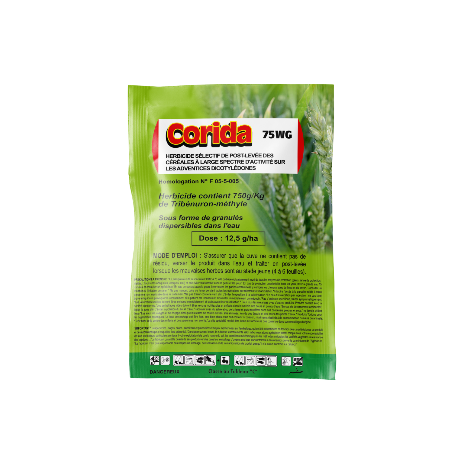 CORIDA 75 WG - Philea