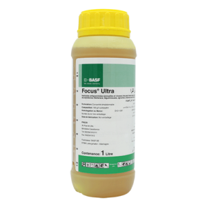FOCUS ULTRA - Philea